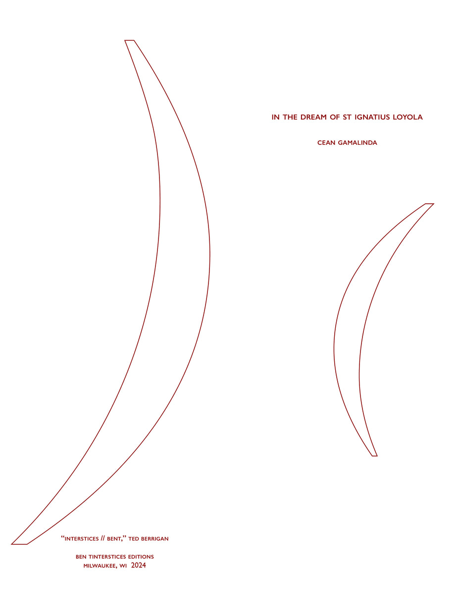 In the Dream of St Ignatius Loyola – Woodland Pattern