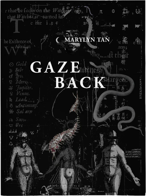 GAZE BACK – Woodland Pattern