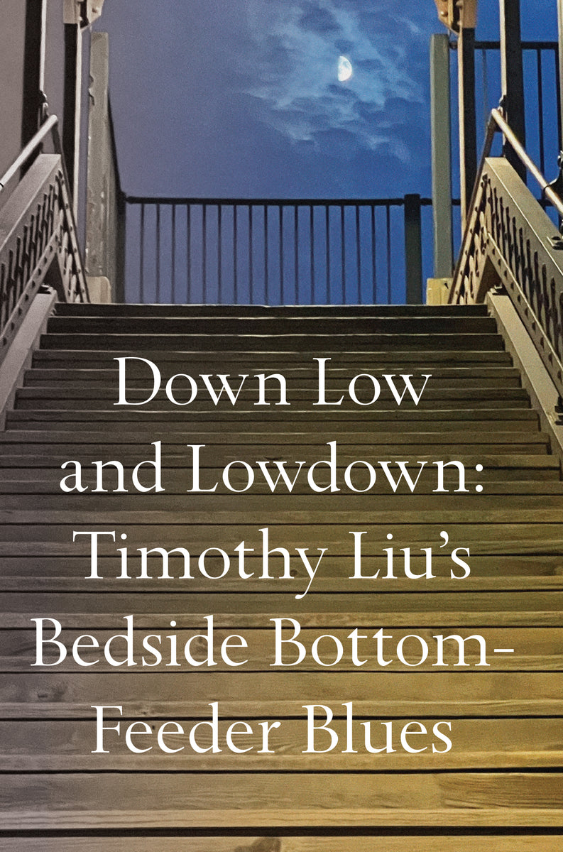 Down Low and Lowdown: Timothy Liu's Bedside Bottom-Feeder Blues ...