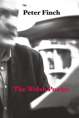The Welsh Poems – Woodland Pattern